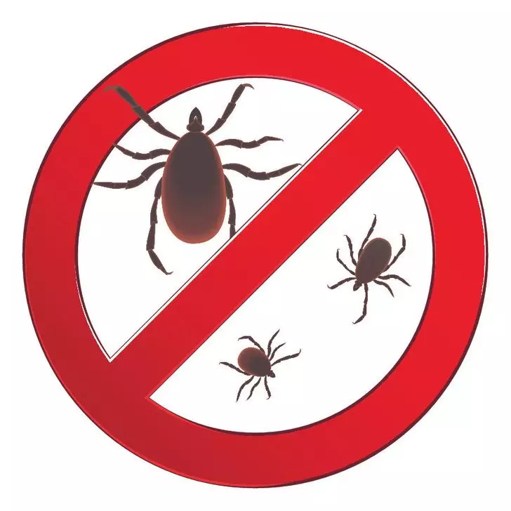 6 maneres efectives de desfer-se dels insectes a casa seva 12_2