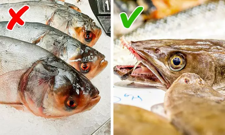 8 ознак того, що вам намагаються продати рибу, яку небезпечно їсти 232_7