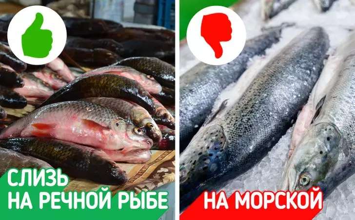 8 signos que estás a vender o peixe que é perigoso 232_9