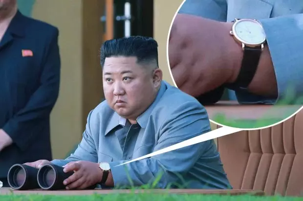 DPRK کے رہنما کے سانس لینے والی مال کے بارے میں کیا معلوم ہے 4497_13