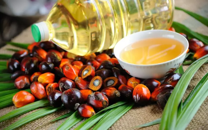 Palm oil: there is or not 4526_9