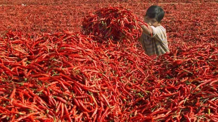 20 fotos sin Photoshop, de donde captura el Espíritu. 4703_11