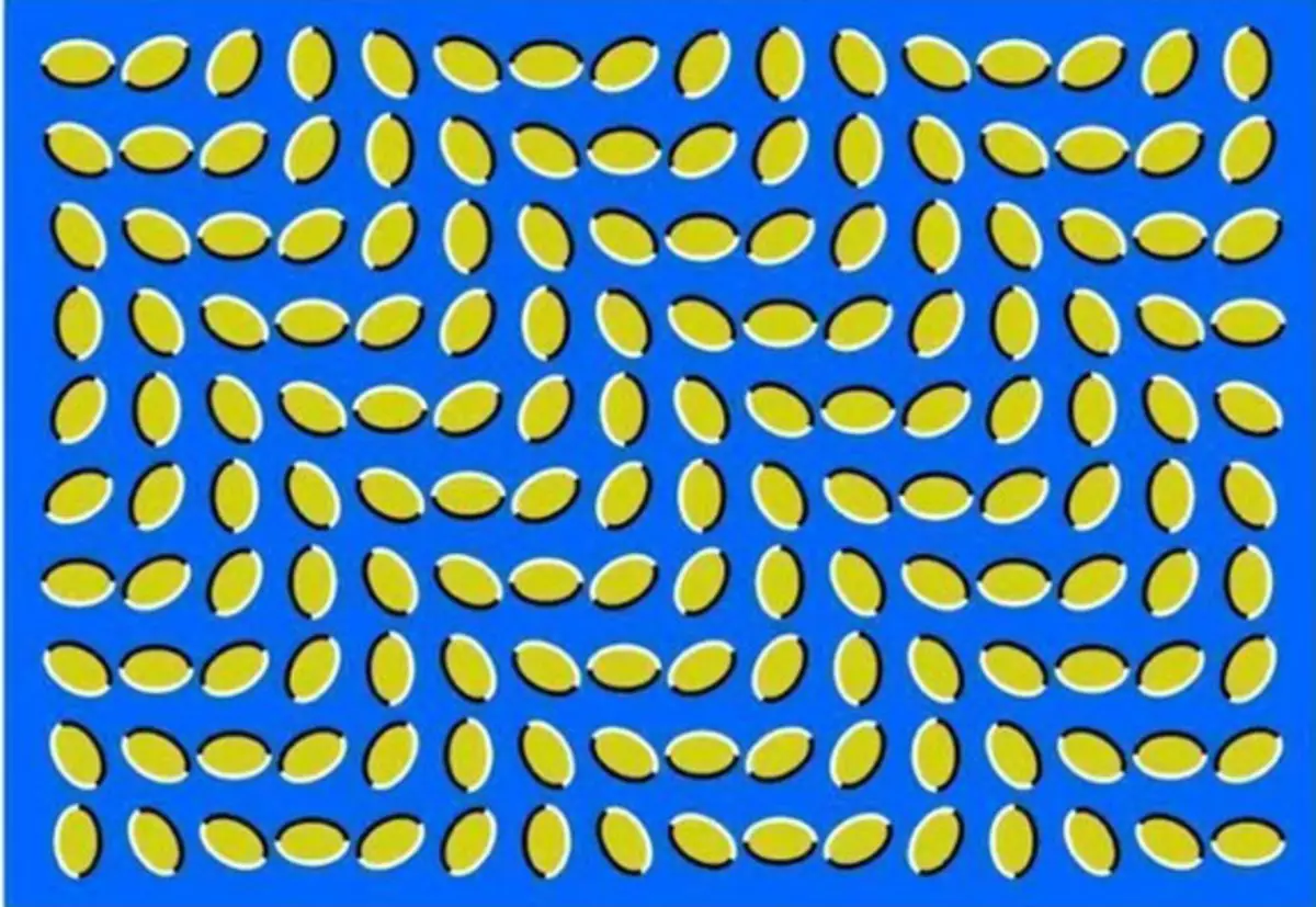 8 iluzii optice abrupte 4746_3