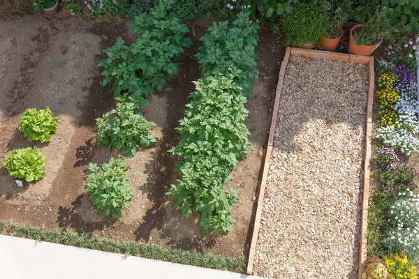 Plan of perfect vegetable garden: 10 simple rules that will make your work facilitate 485_4