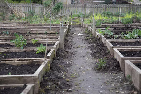 Plan of perfect vegetable garden: 10 simple rules that will make your work facilitate 485_6