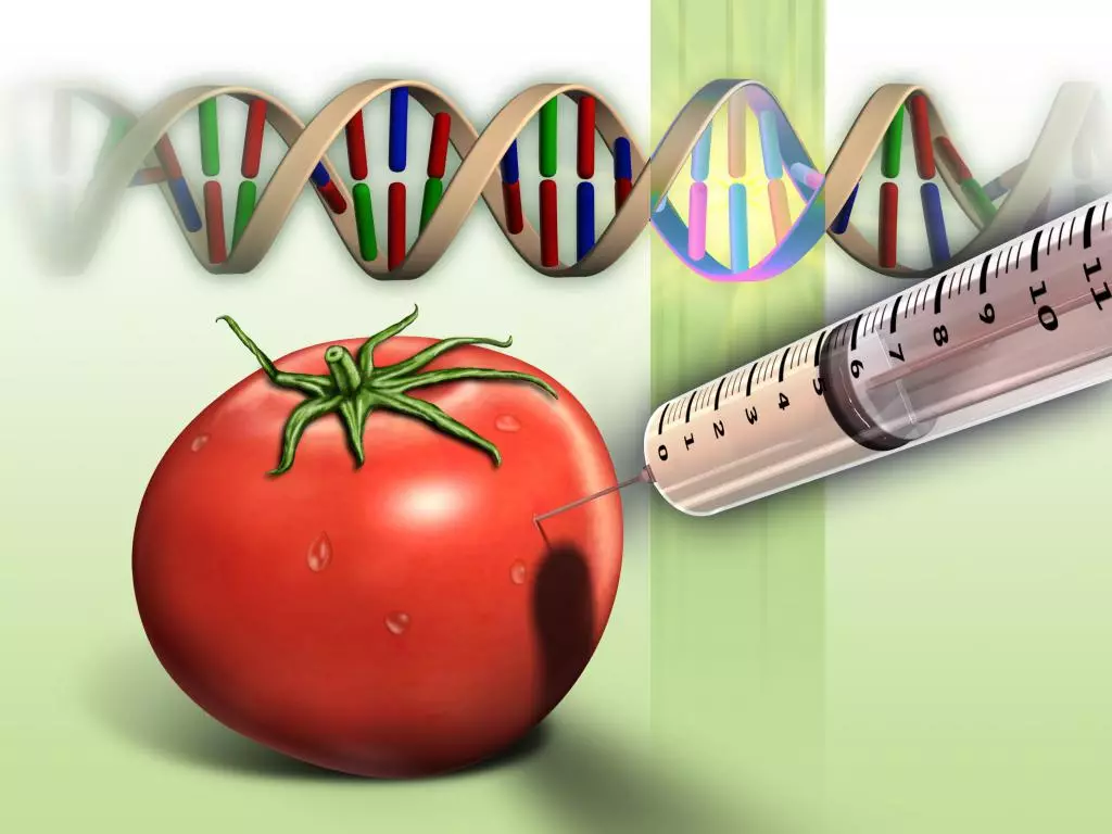 Eat it is ûnmooglik om te gooien: Wier en myten oer GMO 4921_1