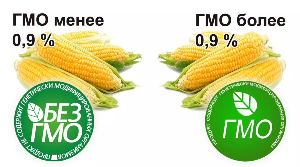 Comer é imposible xogar: verdadeiro e mitos de OGM 4921_3