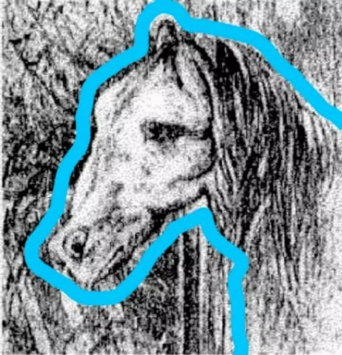 იპოვეთ ცხენი (რიდლი, რომელიც უფრო ძველია, ვიდრე შენ) 5085_8