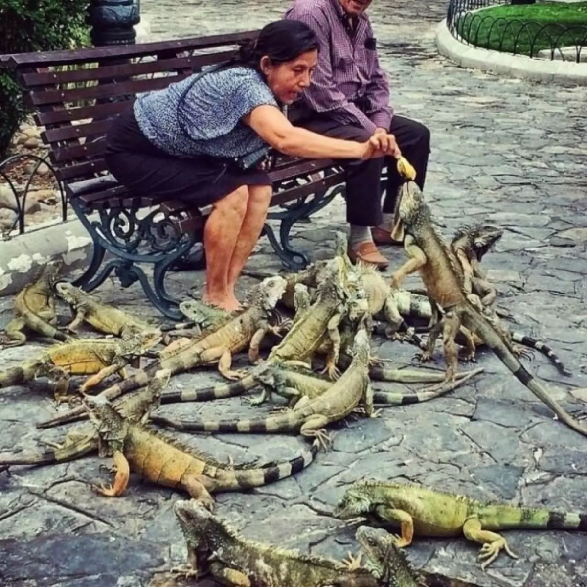 20 fotografija koje neće ostaviti nikoga ravnodušnim 5502_7