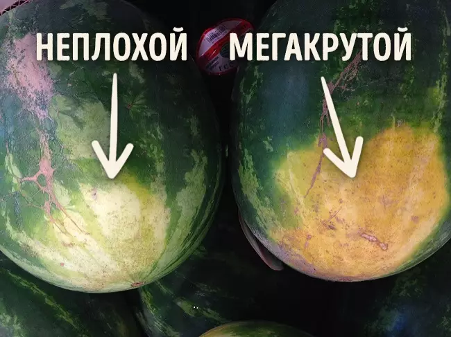 Yuav ua li cas xaiv cov sweeest thiab muaj kua watermelon (tricks ntawm cov neeg ua liaj ua teb) 5539_1