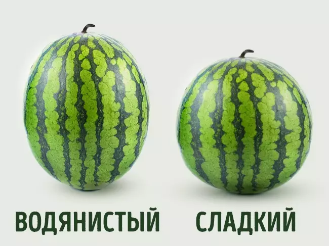 Yuav ua li cas xaiv cov sweeest thiab muaj kua watermelon (tricks ntawm cov neeg ua liaj ua teb) 5539_3