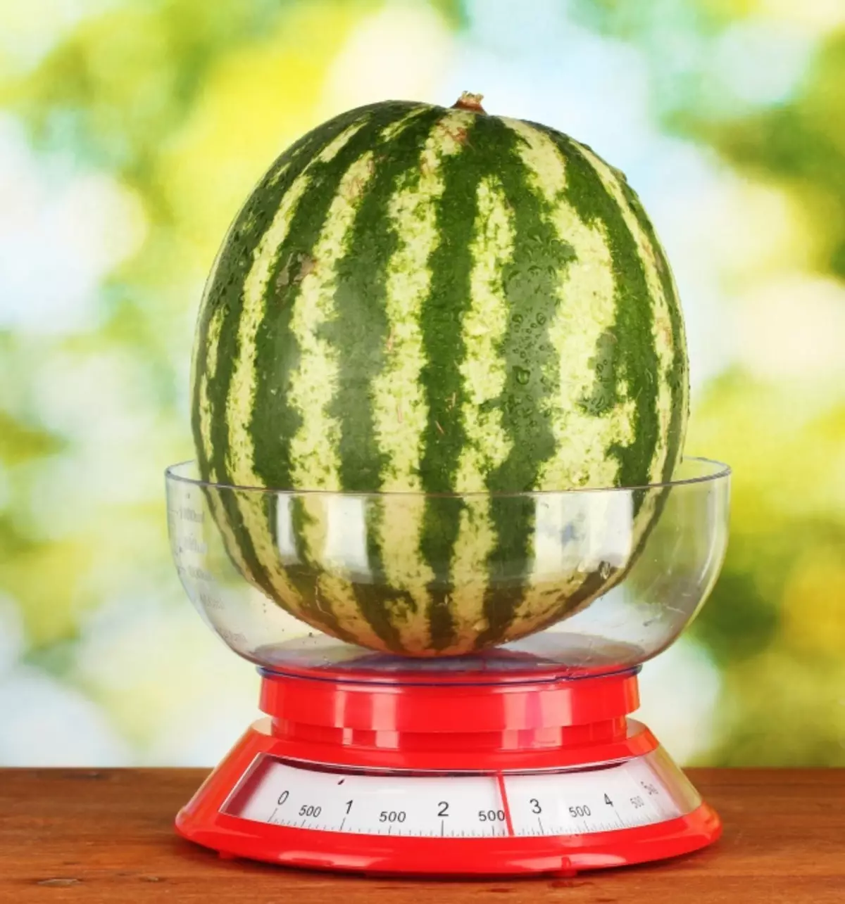 Ako si vybrať najsladší a šťavnatý melón (triky poľnohospodárov) 5539_4