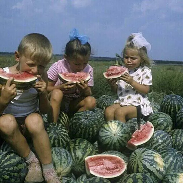 Zvino izvi hazvisi: Matoyi makumi maviri kubva paudiki hwevana veSoviet 6624_15