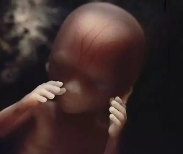 Сакрамент рођења новог живота у сликама 6851_16
