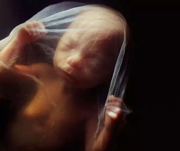 Сакрамент рођења новог живота у сликама 6851_18