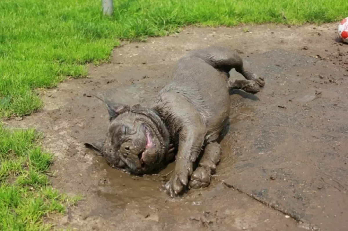 20 foto's die in staat zijn om een ​​storm van emoties te bellen 7044_11