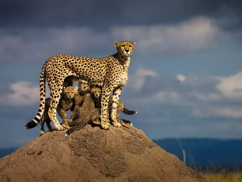 20 fotos capaces de trucar a una tempesta d'emocions 7044_21