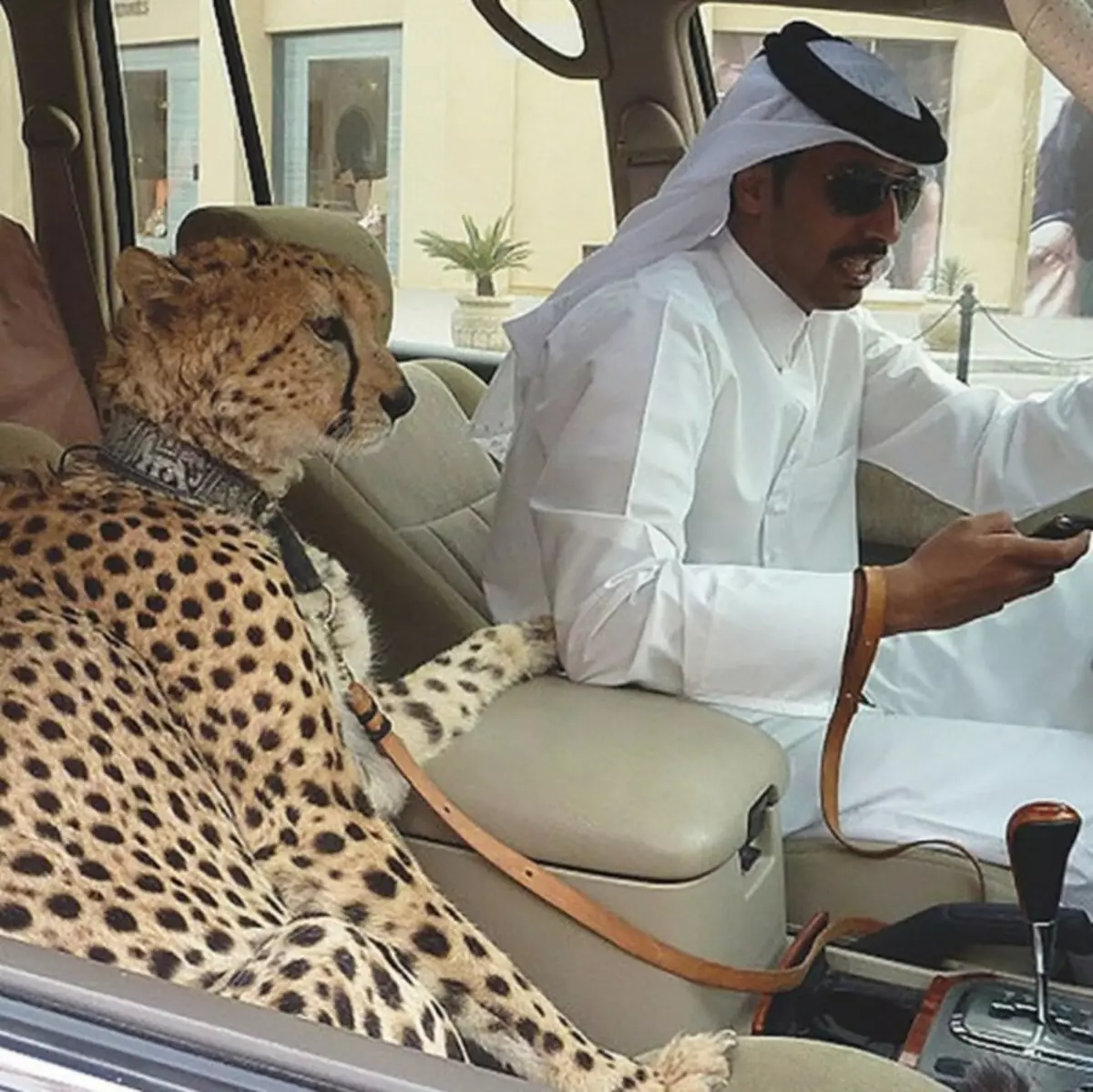 Märchenlandland: Was ist hinter dem Luxus der arabischen Emirate versteckt? 7305_13