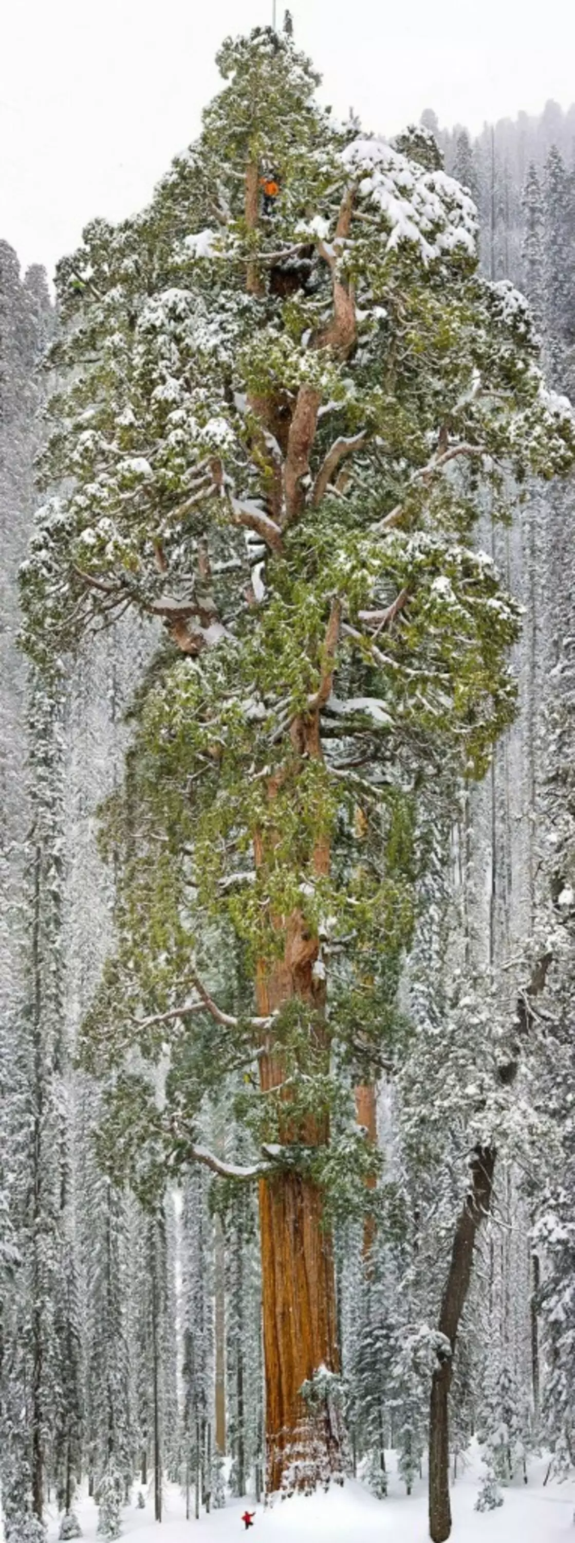 Winzige Leute auf dem Hintergrund der Größe der Natur 7690_4