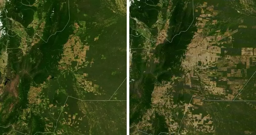 14 pasang gambar dari satelit NASA, yang menunjukkan bagaimana planet kita telah berubah