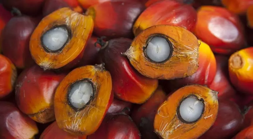 Hoe de zuivelproducten op palmolie te controleren