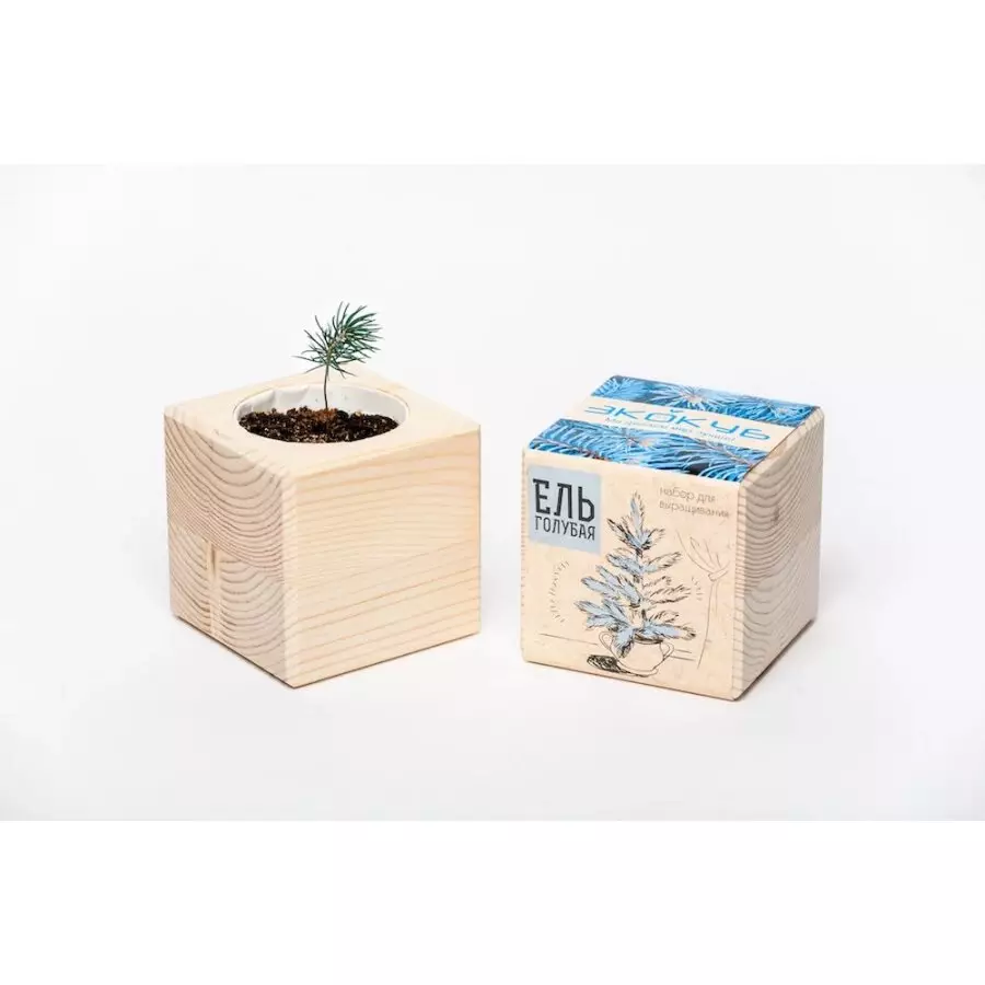 Eco-Cube Growing Kit