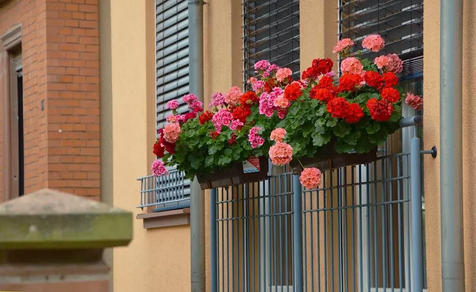 9 accions al balcó o loggia, per al qual es pot multar