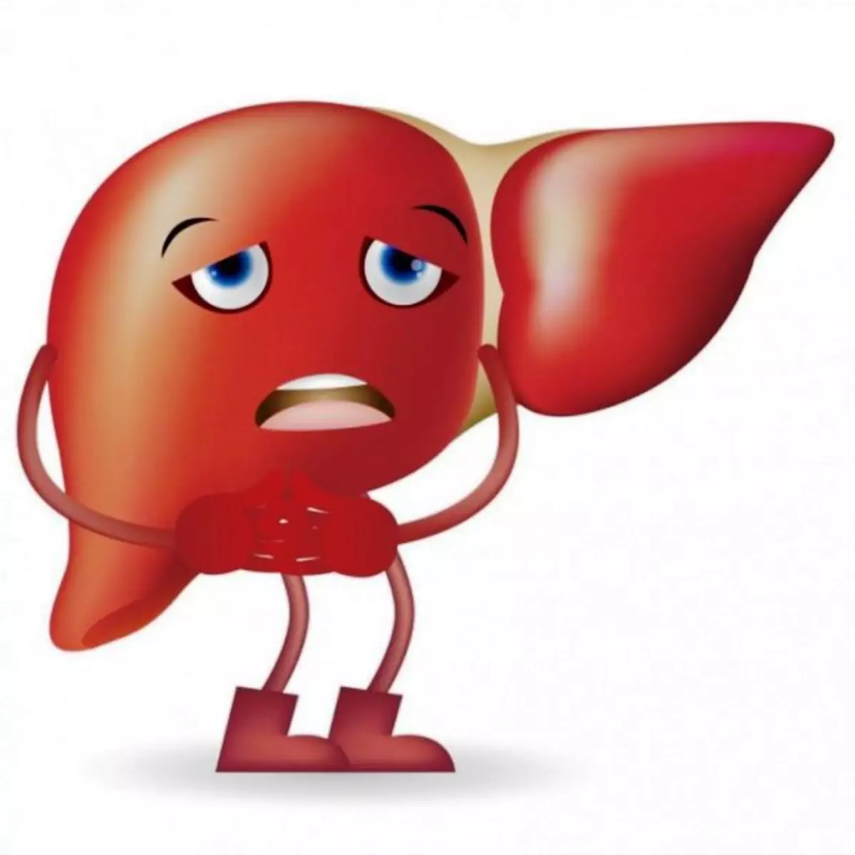 Mëlçia e shëndetshme: Ajo që mëlçia jonë nuk i pëlqen