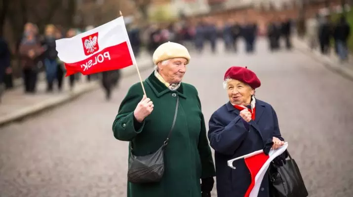 Дөньяның төрле илләрендә пенсионерлар турында ничек кайгырту 8678_12