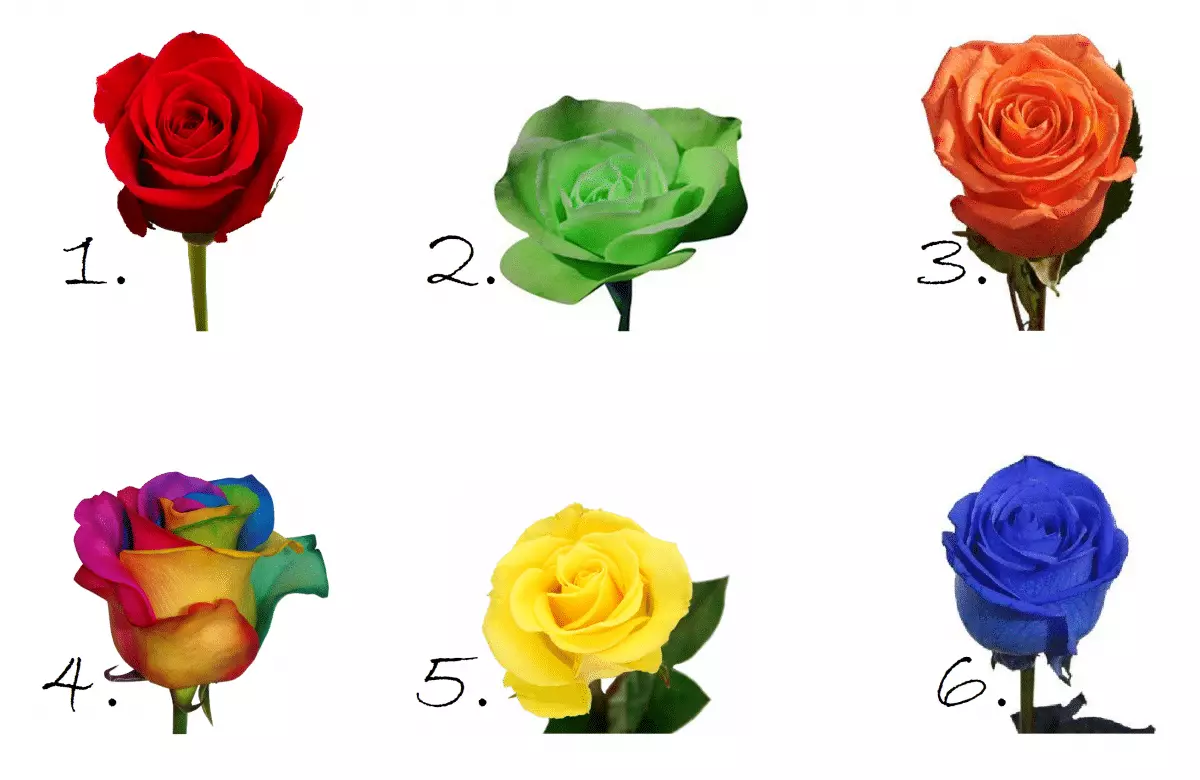 Quiz Fast: คุณชอบดอกกุหลาบแบบไหน? 8995_1