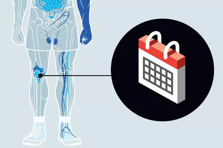 Comment économiser 13 systèmes de corps principaux en bonne santé 9213_13