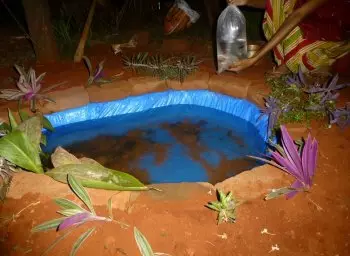 Kami membuat kolam untuk ikan di plot mereka 3184_2