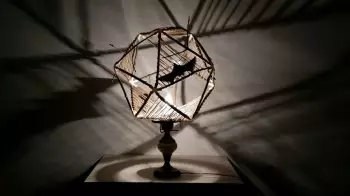 প্রত্যাখ্যাত ছায়া উপর একটি জোর দিয়ে মূল lampshade 3205_1