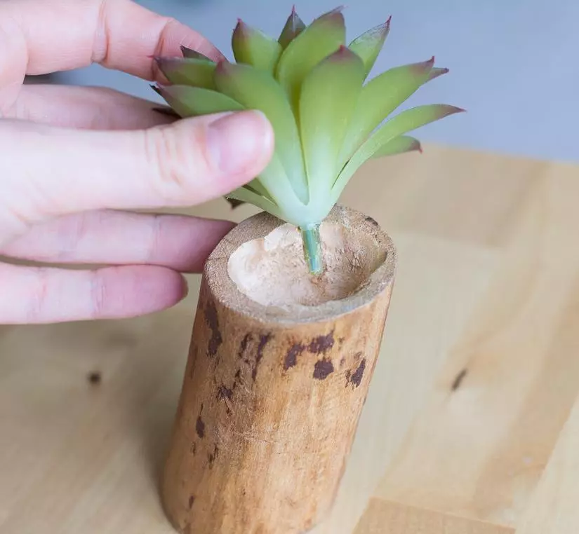 Bagaimana untuk membuat periuk bunga untuk succulents kayu 3653_7