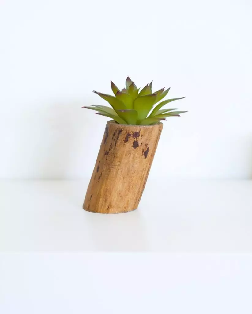Bagaimana untuk membuat periuk bunga untuk succulents kayu 3653_8