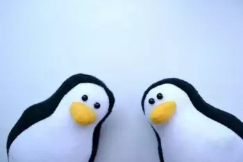 Mun lura da penguin din da yake da kai