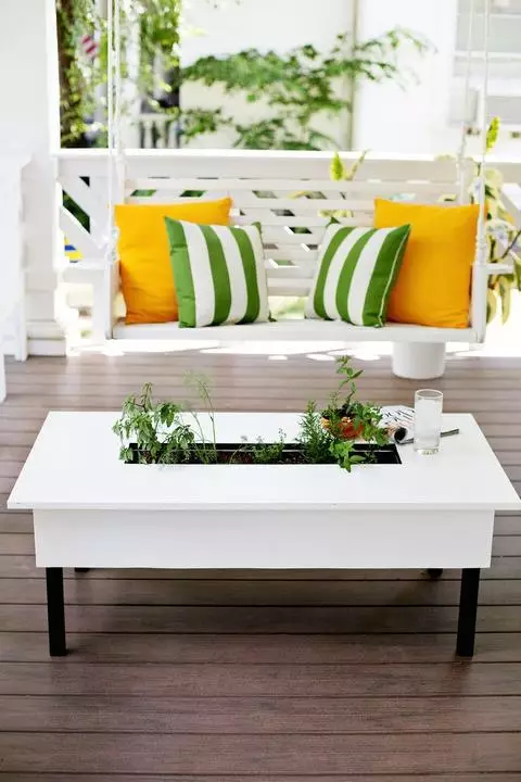 Tavolinë kopsht me bimë tabaka me duart e tyre 5873_1
