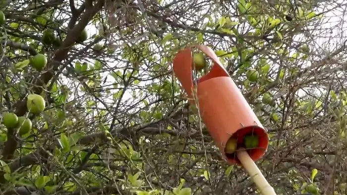 Meaʻai o meaʻai Masini ma PVC PIPE laʻau 6015_6