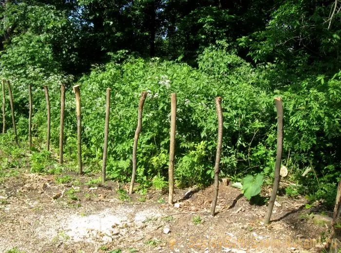 Podizanje pletene ograde 6104_5