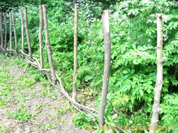 Dựng một hàng rào đan lát 6104_6
