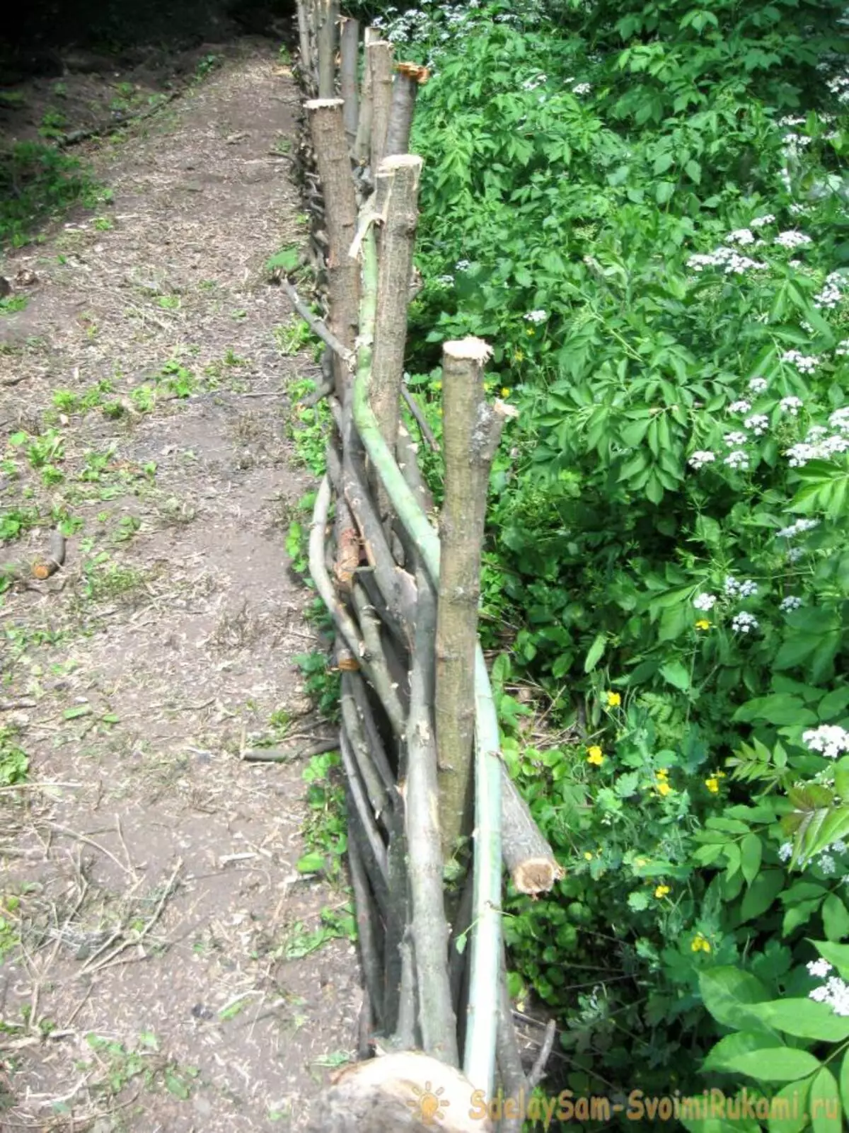 Dựng một hàng rào đan lát 6104_8