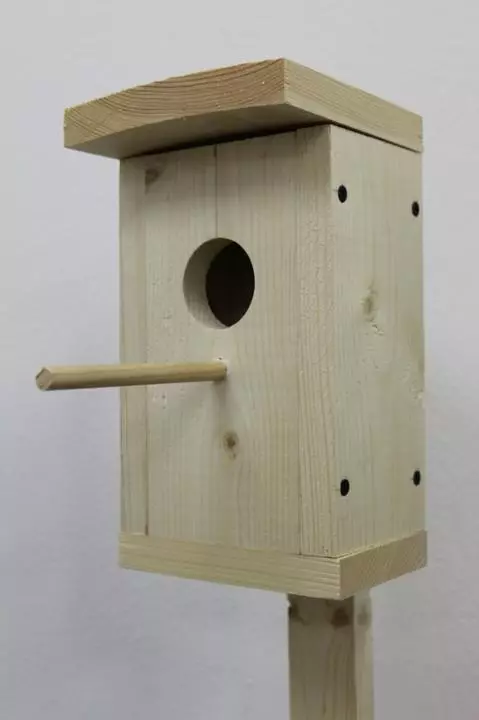 Master τάξη για την κατασκευή ενός birdhouse 6113_1