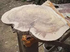 Meja Kopi dari Angora Pine Capa 6388_3