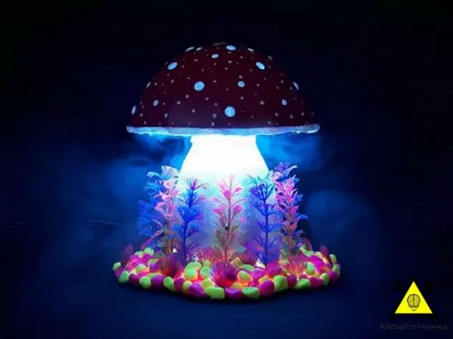 Interesant lampă de ciuperci 6447_1