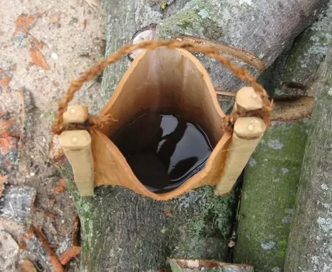 Kapasidad para sa tubig mula sa lime bark.