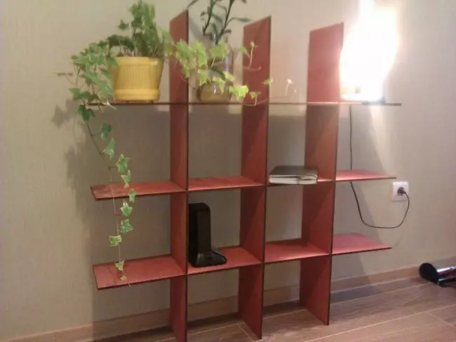 Hindi pangkaraniwang shelves ng plywood. 6588_10