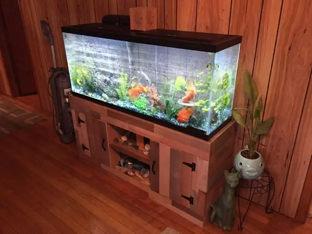 Wéi een Dësch fir Aquarium vun Holzpaletten ze maachen 6666_12