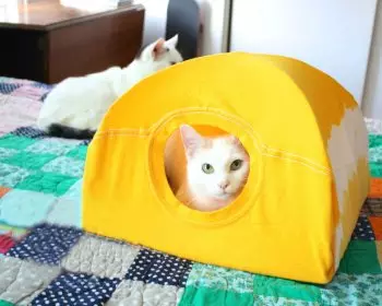 Mačka šator to učiniti sami 6870_1