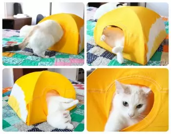 猫帐篷自己做到了 6870_13