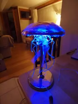 Medūzu lampa ar savām rokām 7328_1